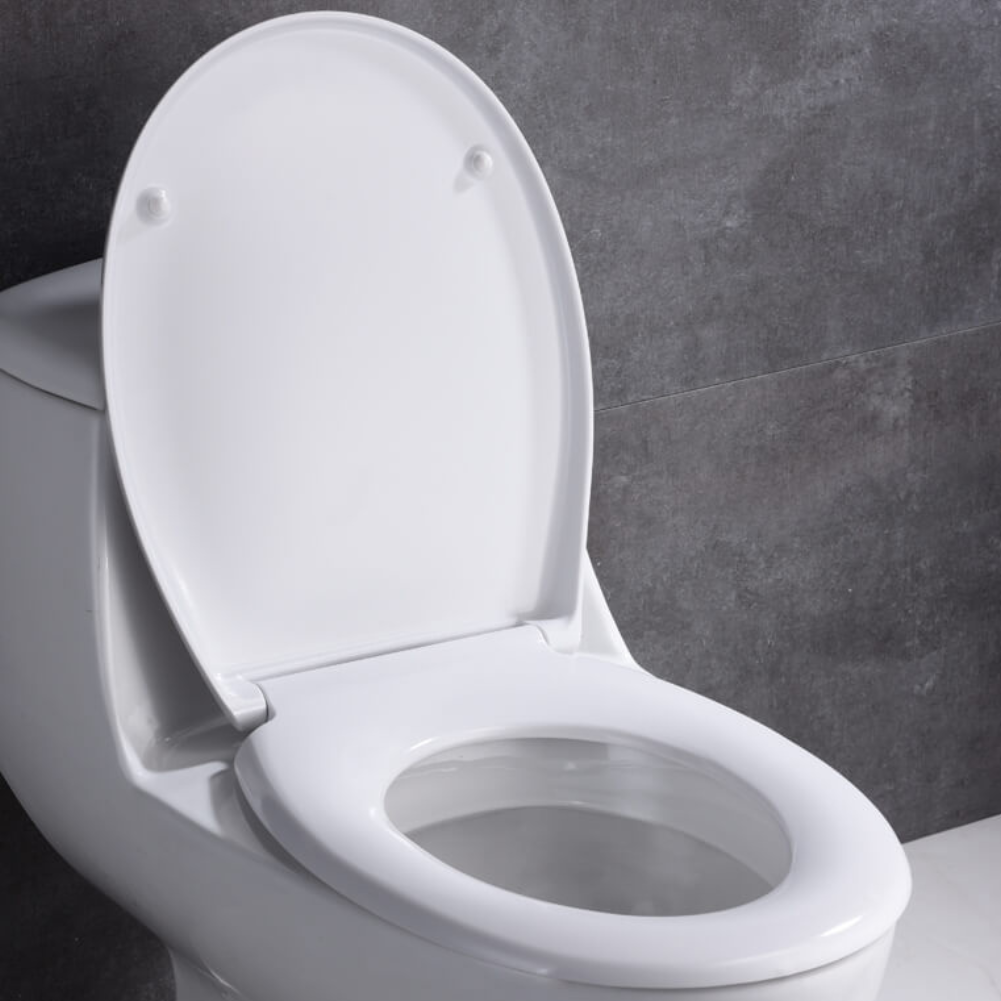 MUZT Deluxe Soft Close Quick Release Toilet Seat – MUZT Australia